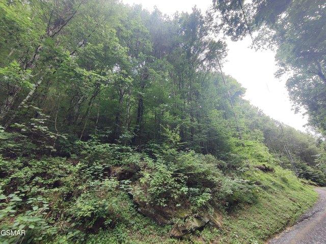 Old Hag Hollow Way, Sevierville, TN 37876