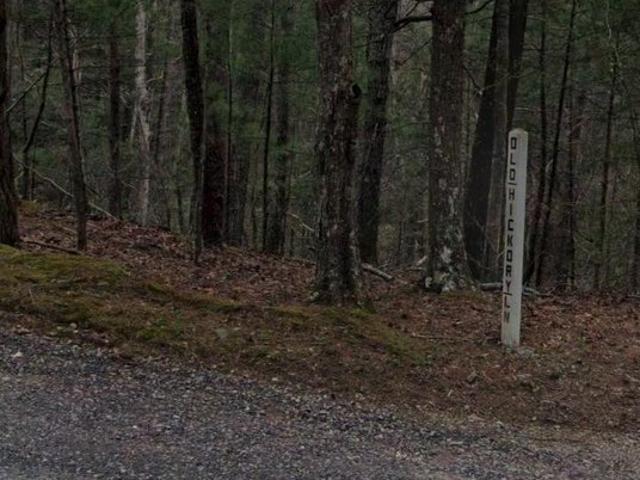 Old Hickory Rd, Tellico Plains, TN 37385