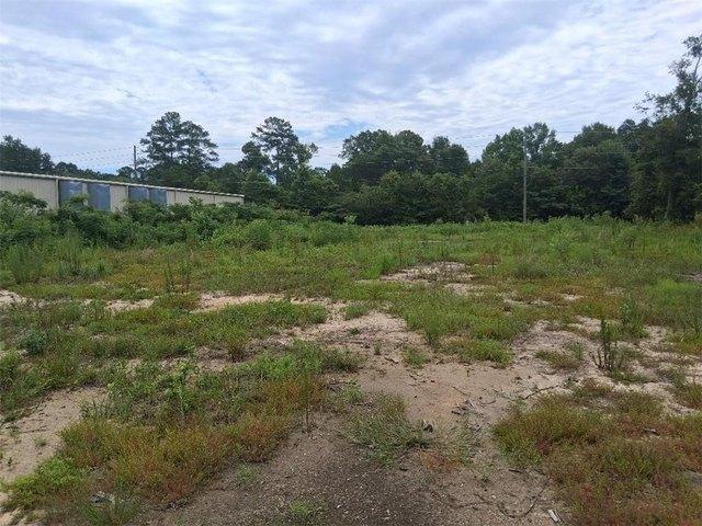 Old Highway 43, Mount Vernon, AL 36560