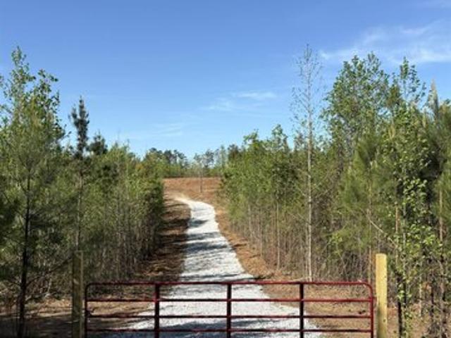Parcel #1 Old Highway 431 Lot Acres Parcel 1 18, Wedowee, AL 36278