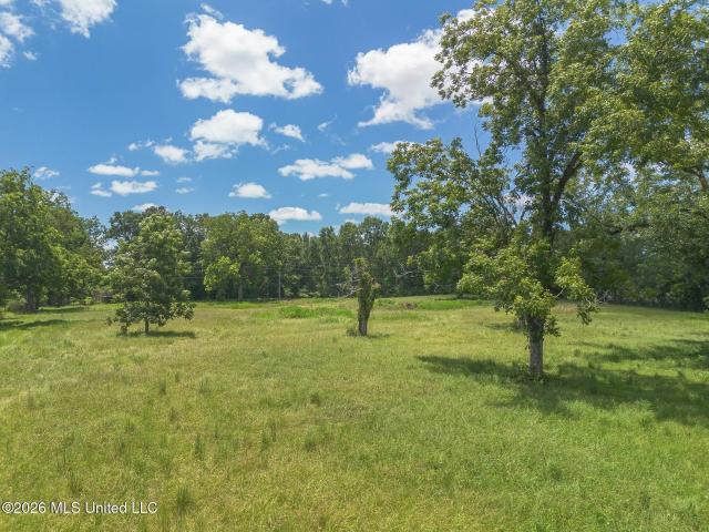 Old Highway 49, McHenry, MS 39561