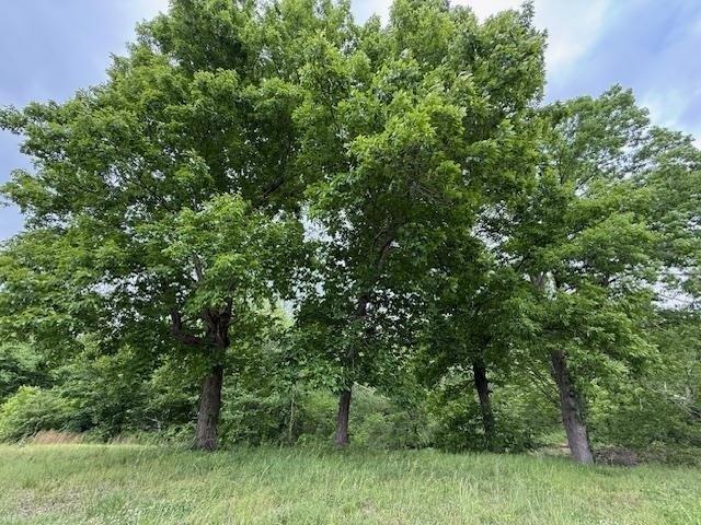 Old Highway 72, Ashland, MS 38603