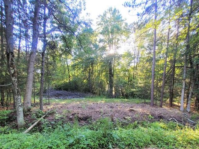 Old Highway 12 Lot 6, Merrillan, WI 54754