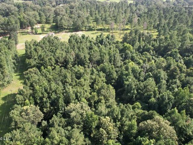 Old Highway 24 Lot 2 9, Centreville, MS 39631