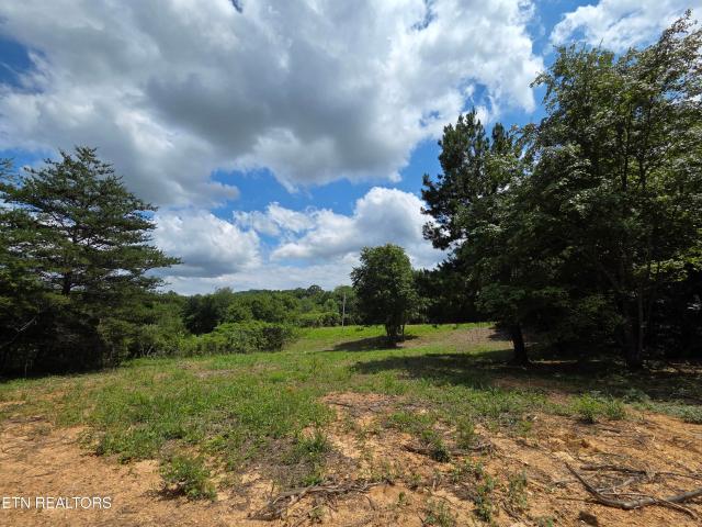 Old Huntsville Jamestown Rd, Robbins, TN 37852