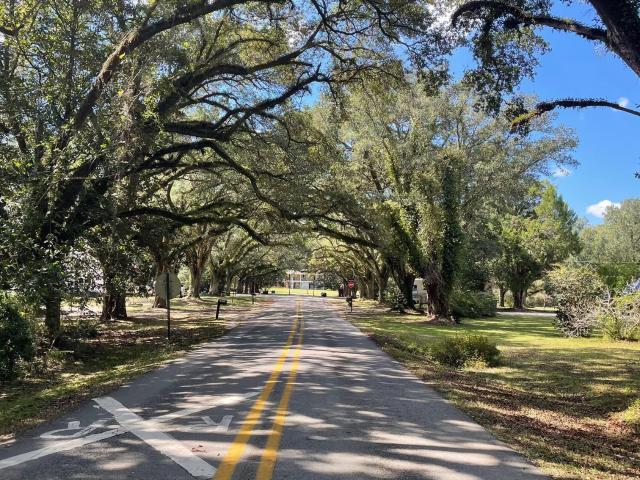 Old Hwy 49, Saucier, MS 39574