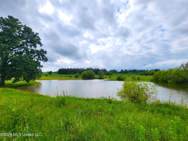 Old Hwy 7, Holly Springs, MS 38635
