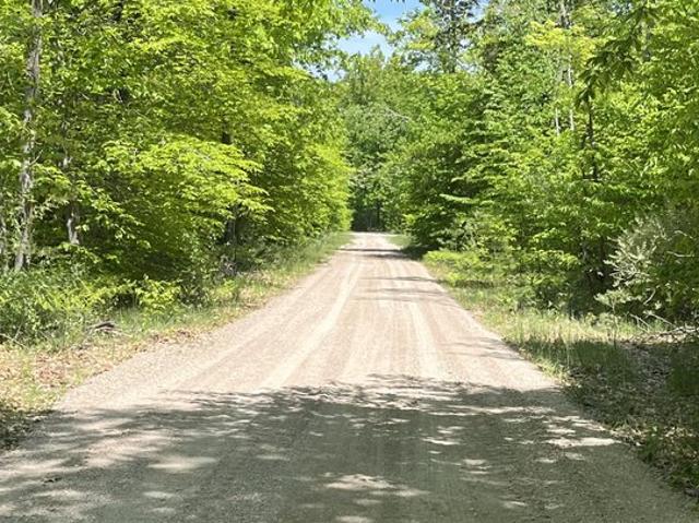 Old Oak Rd Parcel A, Cheboygan, MI 49721