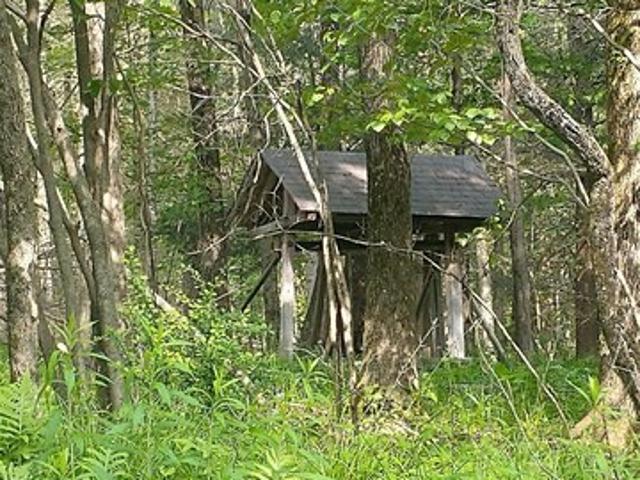 Old Loomis Rd, Liberty, NY 12734