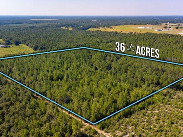 Old Landfill Rd, Defuniak Springs, Plot For Sale