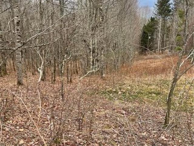 Old Mountain Rd, Banner Elk, NC 28604