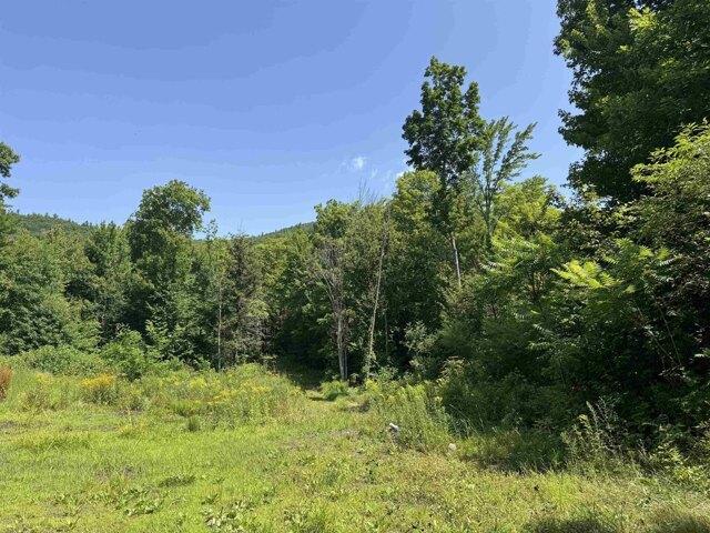 Old Mountain Rd Lot, Moultonborough, Plot For Sale