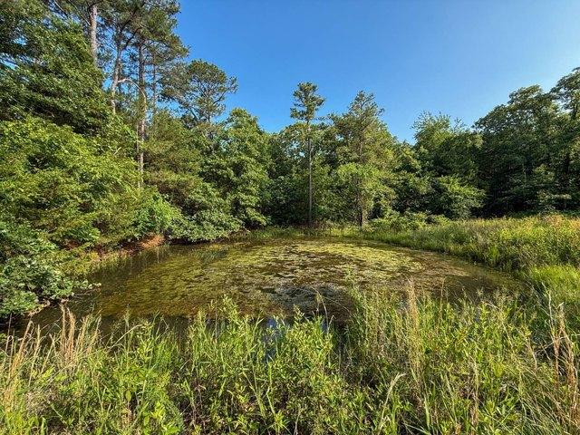 Old Moyers Rd, Antlers, OK 74523