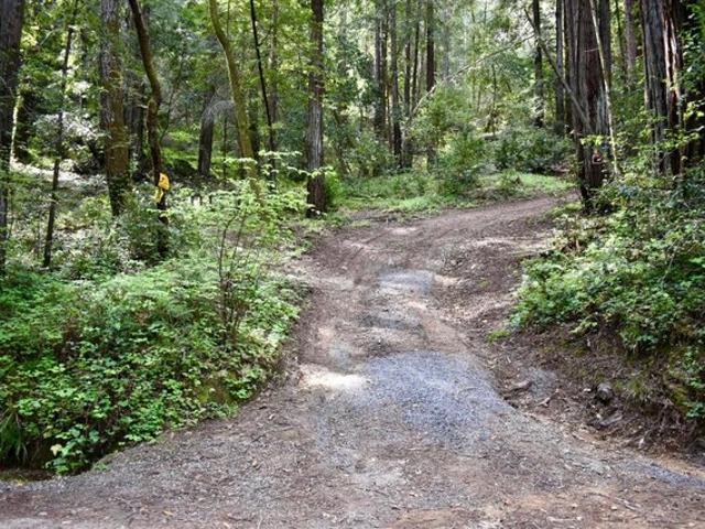 18572 Old Monte Rio Rd, Guerneville, CA 95446