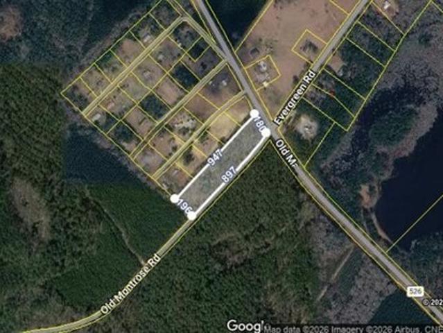 Old Montrose Rd Lot 1, Montrose, GA 31065