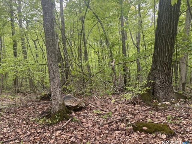 Old Messenger Rd, Granby, Plot For Sale