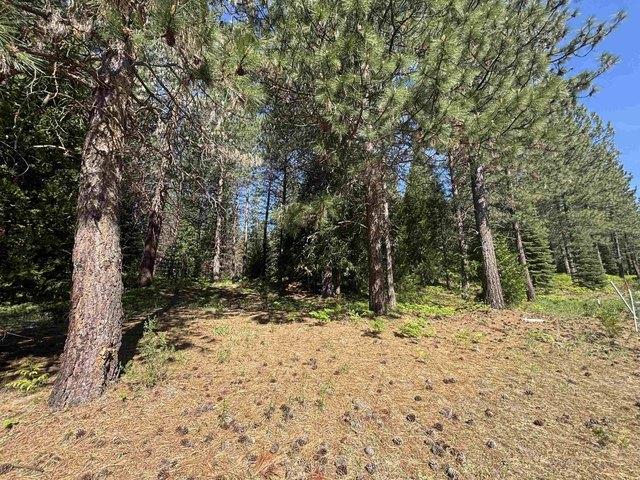 Old Mill Dr Lot 13, McCloud, CA 96057