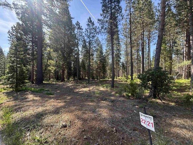 Old Ml Lot 22, McCloud, CA 96057