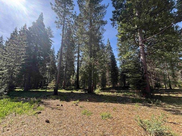 Old Ml Lot 23, McCloud, CA 96057