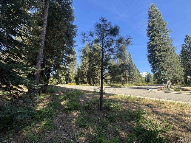 Old Ml Lot 31, McCloud, CA 96057
