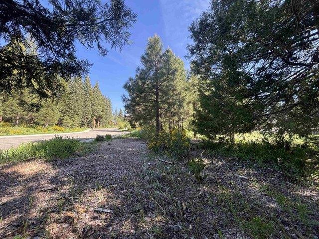 Old Ml Lot 48, McCloud, CA 96057