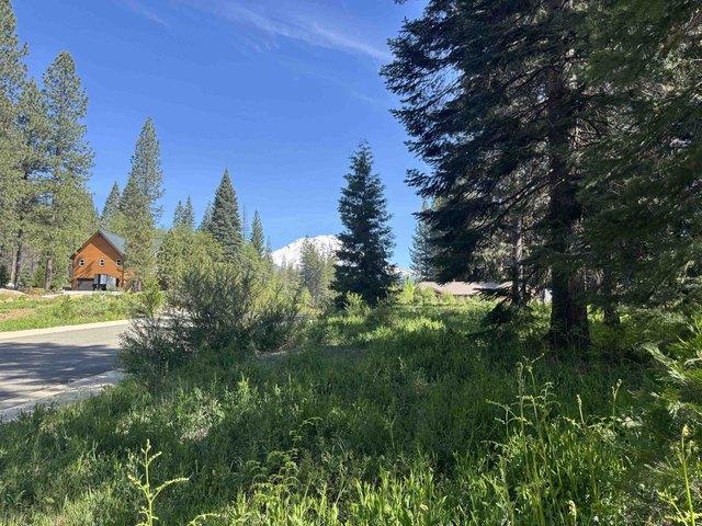 Old Ml Lot 51, McCloud, CA 96057