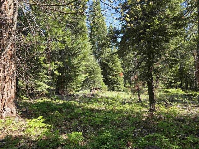 Old Ml Lot 67, McCloud, CA 96057