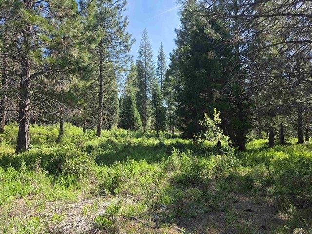 Old Ml Lot 60, McCloud, CA 96057