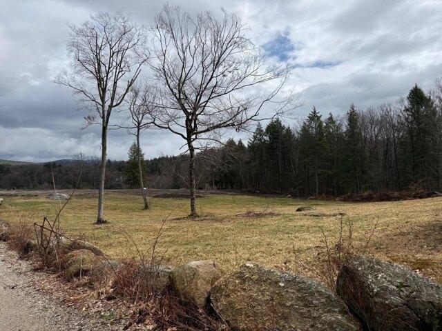 Old North Branch Rd Lot,antrim, Plot For Sale