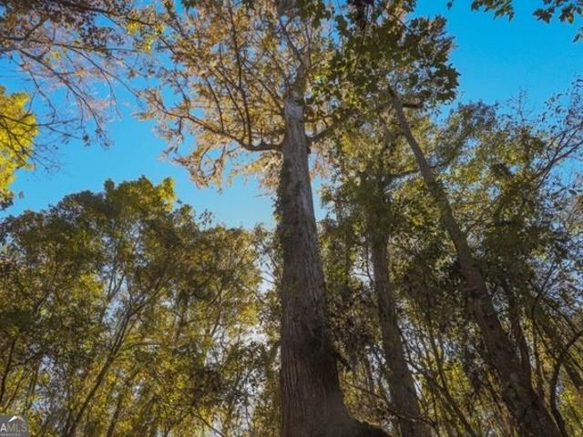 Old Savannah Rd Unit TRACT1, Millen, GA 30442