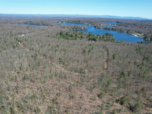 Old Sackett Rd, Rock Hill, NY 12775