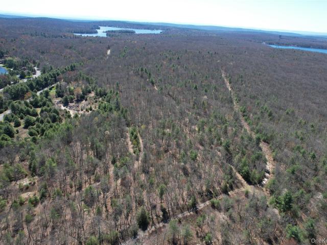 Old Sackett Road