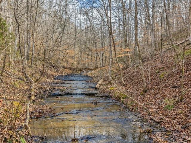 Old Sams Creek Rd, Pegram, TN 37143