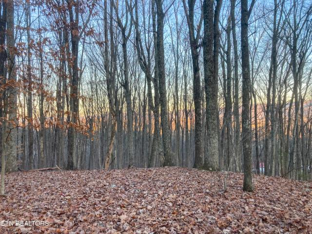Old Spencer Road 100 Acres, Pikeville, TN 37367