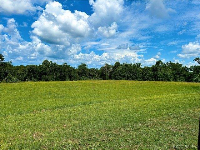 Old Spring Lake Rd, Brooksville, FL 34601