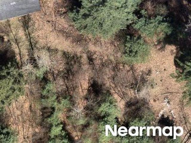 Old Springfield Rd