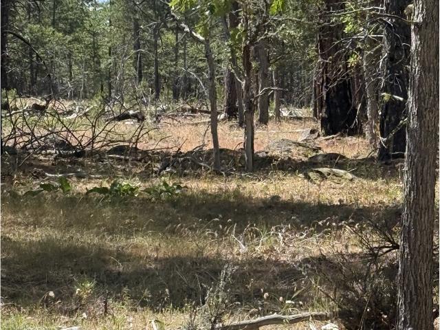 Old Stage Rd