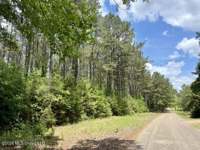 Old State Line Rd, Tylertown, MS 39667