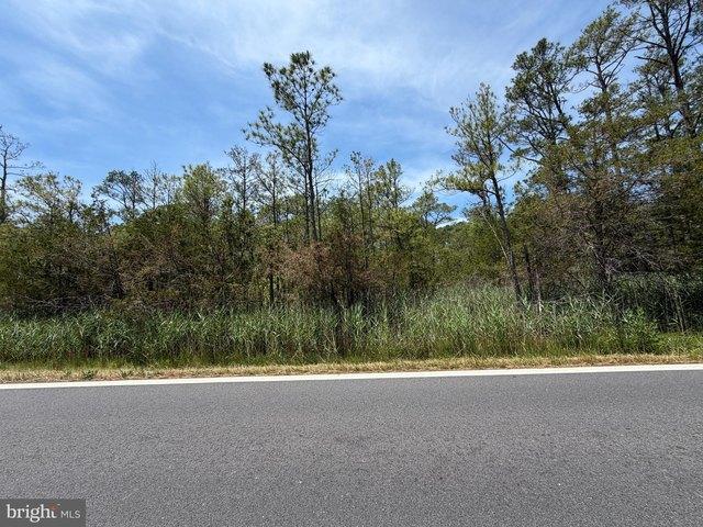 Old State Rd Parcel 517, Crisfield, MD 21817