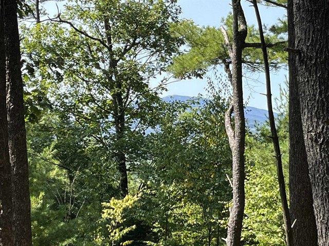 Old Stoddard Rd, Hancock, NH 03449