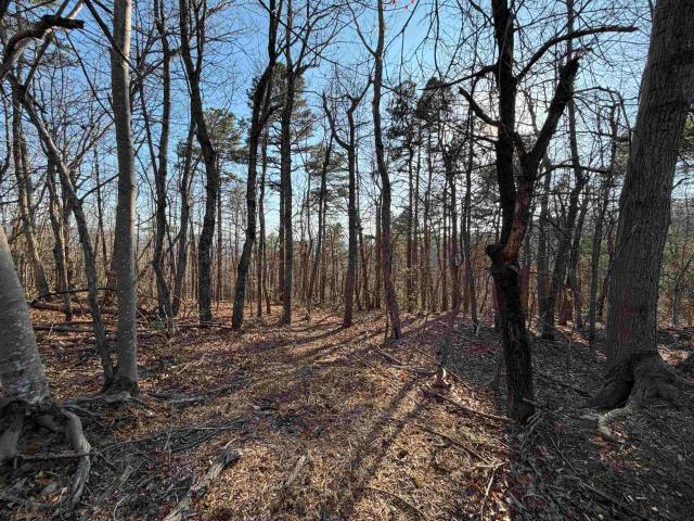 Old stony ridge rd