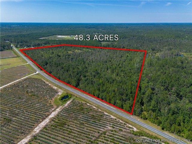 Old Surrency Rd, Baxley, GA 31513