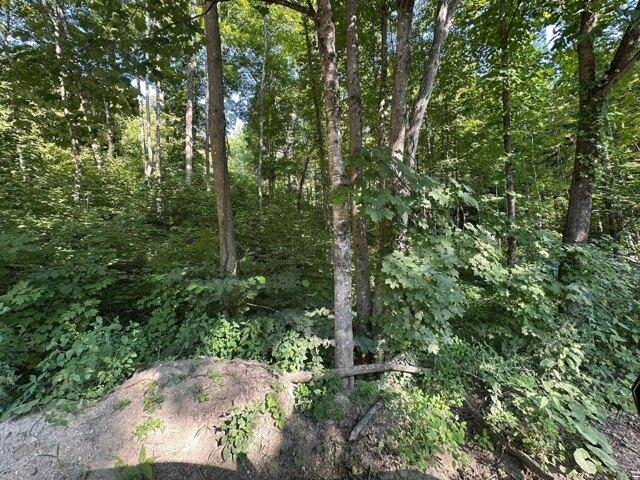 Old Swanzey Rd, Winchester, Plot For Sale