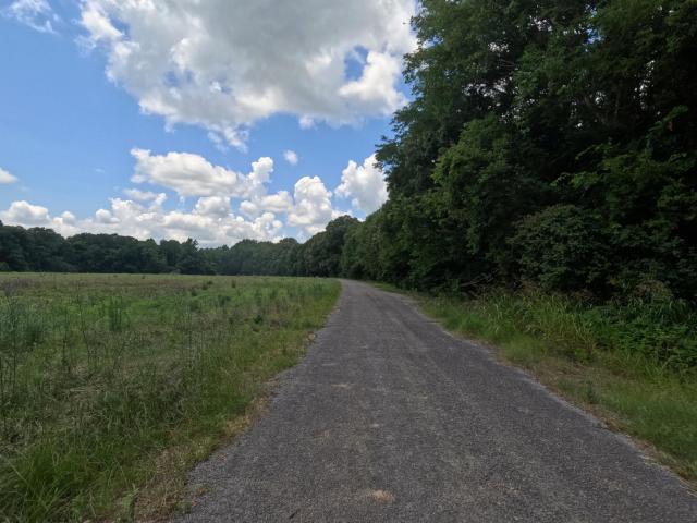 Old Port Gibson/cook Road, Utica, MS 39175