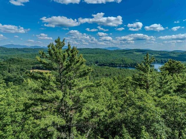 Old Partridge Lake Rd, Littleton, Plot For Sale
