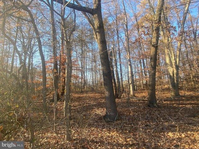 Old Philadelphia Rd, Joppa, MD 21085