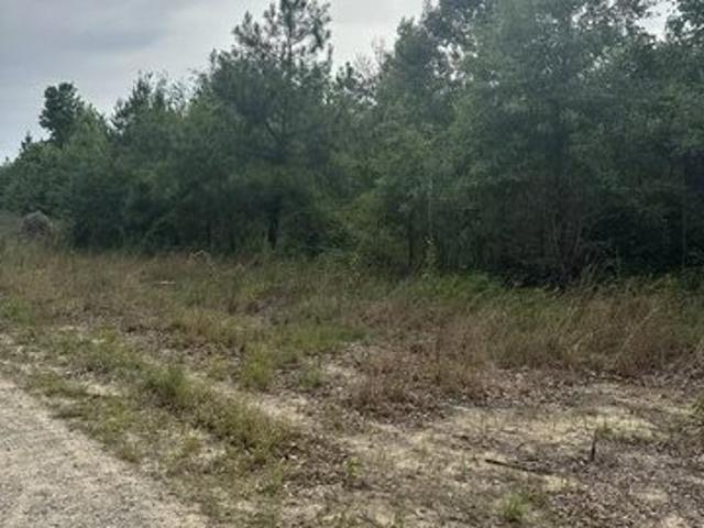 Old Place Rd, Ellerbe, NC 28338