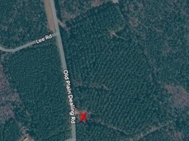 Old Plain Dealing Rd, Plain Dealing, LA 71064