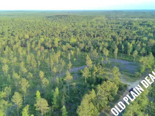 Old Plain Dealing Rd, Plain Dealing, LA 71064
