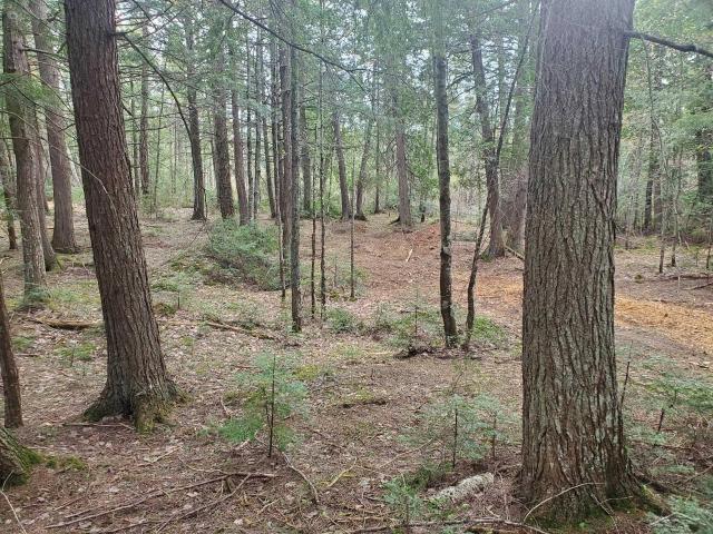 Old Plank Road